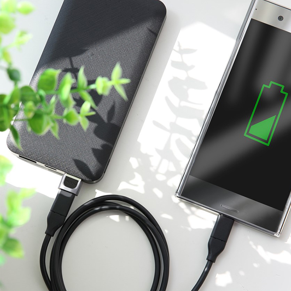 Rock Male USB-A to Female USB Type-C Adapter