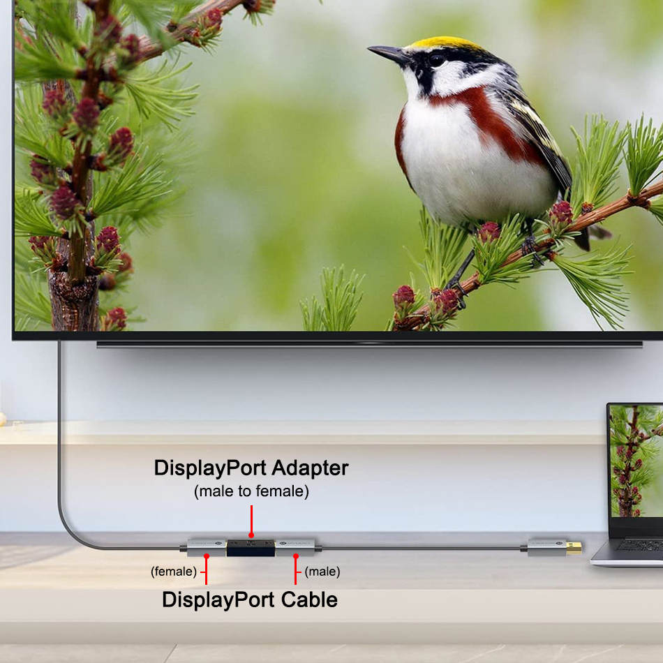 DisplayPort Male Connector to Female Extender Adapter