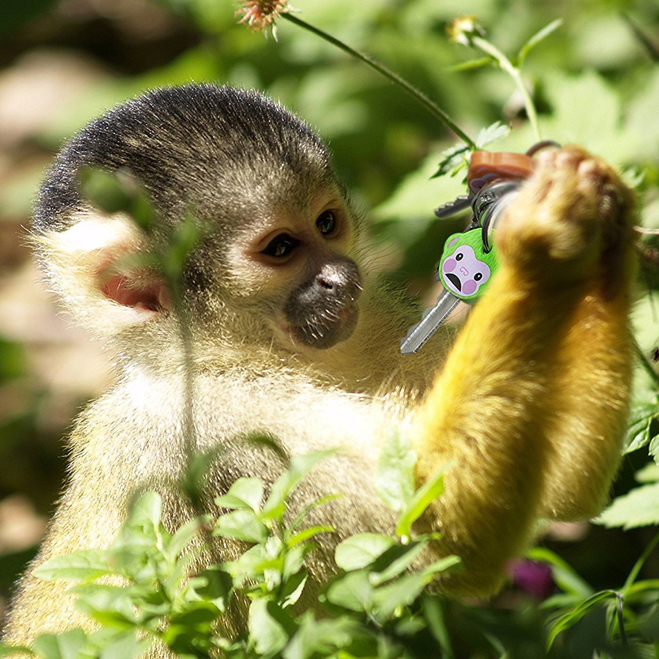 Fred & Friends Monkeys Protective Key Cap Protector